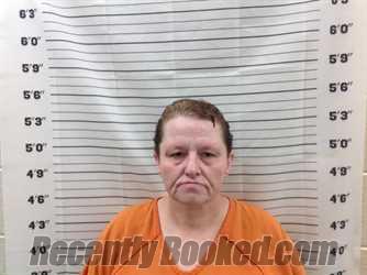 Recent Booking / Mugshot for ROBIN DENISE BURDICK in Pickens County ...