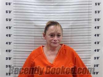 Recent Booking / Mugshot for ROBIN GAYLE KING in Pickens County, Georgia