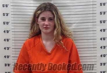 Recent Booking / Mugshot for Shanda Meadows in Pickens County, Georgia