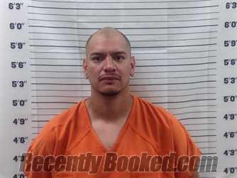 Recent Booking / Mugshot for Steven Varela in Pickens County, Georgia