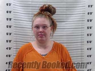 Recent Booking / Mugshot for Tina Goode in Pickens County, Georgia