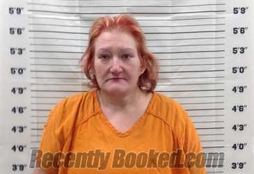 Recent Booking / Mugshot for Tina Renee Mroczka in Pickens County, Georgia