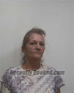 Recent Booking / Mugshot for PAULA LEE FAUCETTE in Davidson County ...