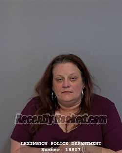 Recent Booking / Mugshot for LEIGH ANN POOLE in Davidson County, North ...