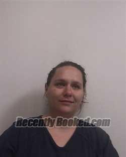 Recent Booking / Mugshot for AMIE MICHELLE PICKARD in Davidson County ...