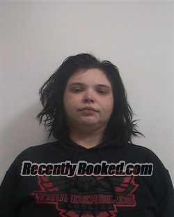 Recent Booking / Mugshot for SAVANNAH LEE BRINDLE in Davidson County ...