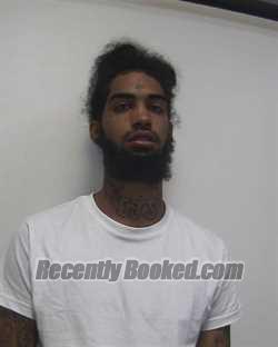 Recent Booking / Mugshot for ETHAN JEREMIAH SHEPPARD in Davidson County ...