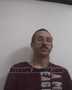 Recent Booking / Mugshot for TERRY DAVID HARRISON in Davidson County ...