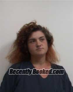 Recent Booking / Mugshot for BRANDY LEIGH RAMER in Davidson County ...