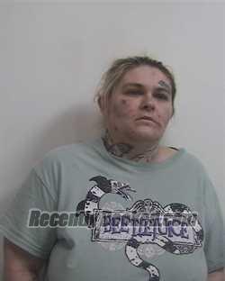 Recent Booking / Mugshot for KRYSTAL LYNNE RENEE BREWER in Davidson ...