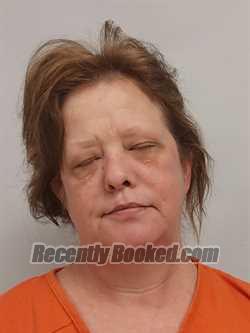 Recent Booking / Mugshot for KIMBERLY DUNHAM in Davie County, North ...
