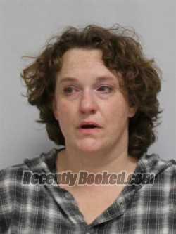 Recent Booking / Mugshot for JAIME MARISSA POTTS in Davie County, North ...