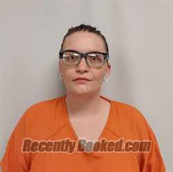 Recent Booking / Mugshot for MEGAN NICOLE GUNTER in Davie County, North ...
