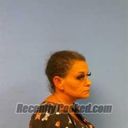 Recent Booking / Mugshot for JENNIFER MCABEE MCGOWAN in Troup County ...