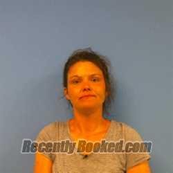 Amber Arlene Milner Arrest & Booking Info | Troup County, GA