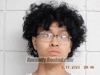 Recent Booking / Mugshot for HIEU MINH TRAN in Duplin County, North Carolina