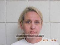 Recent Booking / Mugshot for ALISON RILEY RAYNOR in Duplin County ...