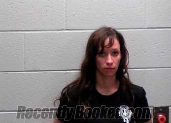 Recent Booking / Mugshot for KRISTYN FLORENCE ATKINSON in Bureau County ...