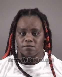 Brittney Dion Little Arrest & Booking Info | Forsyth County, NC