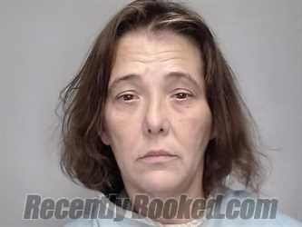 Recent Booking / Mugshot for SHERYL JEAN ALLEN-LARSON in Champaign ...