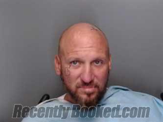 Recent Booking / Mugshot for RICHARD BRIAN BAUMANN in Champaign County ...