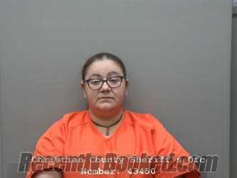 Recent Booking / Mugshot for MICHELLE L FRELIGH in Christian County ...