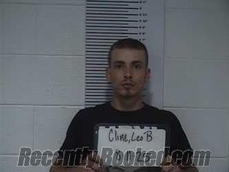 Recent Booking / Mugshot for LEO B CLINE in Clay County, Illinois