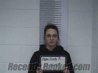 Recent Booking / Mugshot for TRINITY R PAYNE in Clay County, Illinois