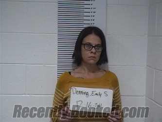 Recent Booking / Mugshot for EMILY S DENNING in Clay County, Illinois