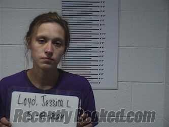 Recent Booking / Mugshot for JESSICA L LOYD in Clay County, Illinois