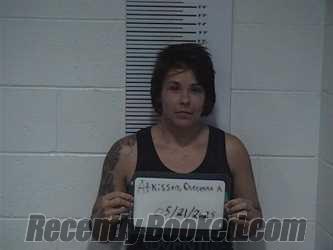 Recent Booking / Mugshot for CHEYENNE A ATKISSON in Clay County, Illinois