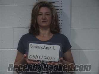 Recent Booking / Mugshot for AMY L DULANEY in Clay County, Illinois