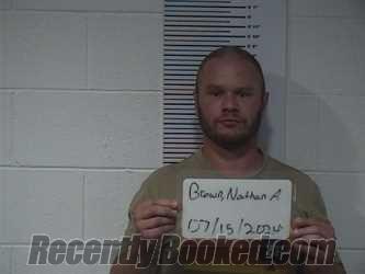 Recent Booking / Mugshot for NATHAN A BROWN in Clay County, Illinois