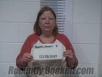 Recent Booking / Mugshot for AMANDA K HASKINS in Clay County, Illinois