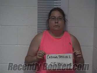 Recent Booking / Mugshot for JESSICA L CALLAHAN in Clay County, Illinois
