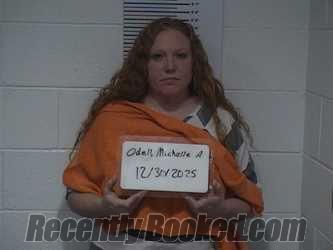 MICHELLE A ODELL Arrest Record & Booking Info – Clay County, Illinois ...