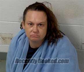 Recent Booking / Mugshot for STACEY DAWN TIMMONS in Clinton County ...