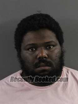 Recent Booking / Mugshot for MICHAEL JEROME HAYNES in Coles County ...