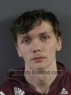 Recent Booking / Mugshot for JOSHUA NICHOLAS WINDLE in Coles County ...