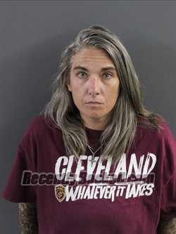 Rachel Ann Collett Mugshot & Arrest Info | Coles County, IL