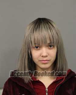 Recent Booking / Mugshot for DANNA VILLAFANE in Cook County, Illinois