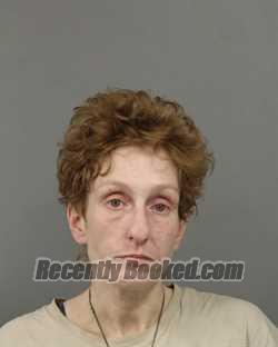 Recent Booking / Mugshot for ELLEN M BEVACQUA in Cook County, Illinois