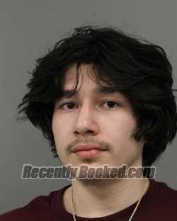 Recent Booking / Mugshot for ERIK GONZALEZ in Cook County, Illinois