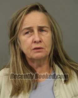 Recent Booking / Mugshot for JOANNA MILKOWSKA in Cook County, Illinois