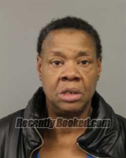 Recent Booking / Mugshot for LYNETTE WARREN in Cook County, Illinois