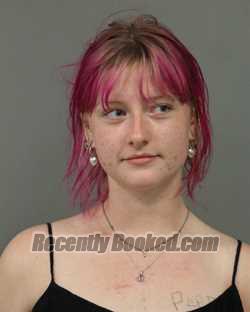 Recent Booking / Mugshot for MADELYN R SACKETT in Cook County, Illinois