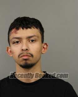 Recent Booking / Mugshot for OSCAR E RAMIREZ in Cook County, Illinois