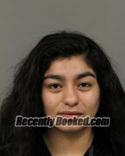 Recent Booking / Mugshot for STEPHANIE CUEVAS in Cook County, Illinois