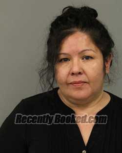 Recent Booking / Mugshot for VERONICA A ROMO GUZMAN in Cook County ...