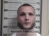 Recent Booking / Mugshot for LEVI G PERRINE in Crawford County, Illinois